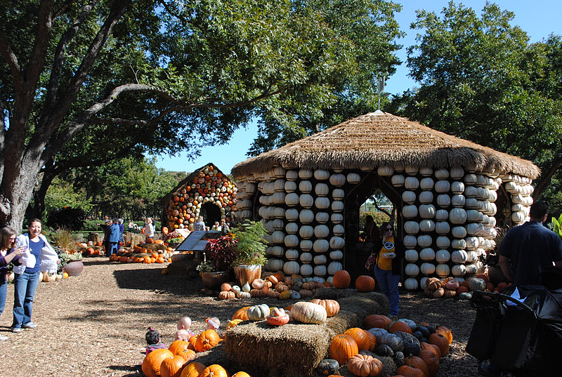 Fall at the Arboretum