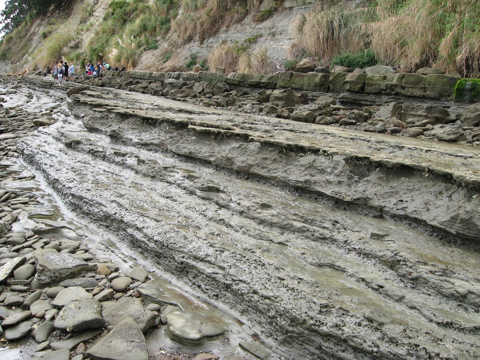 Mudrock ~ NeededThing