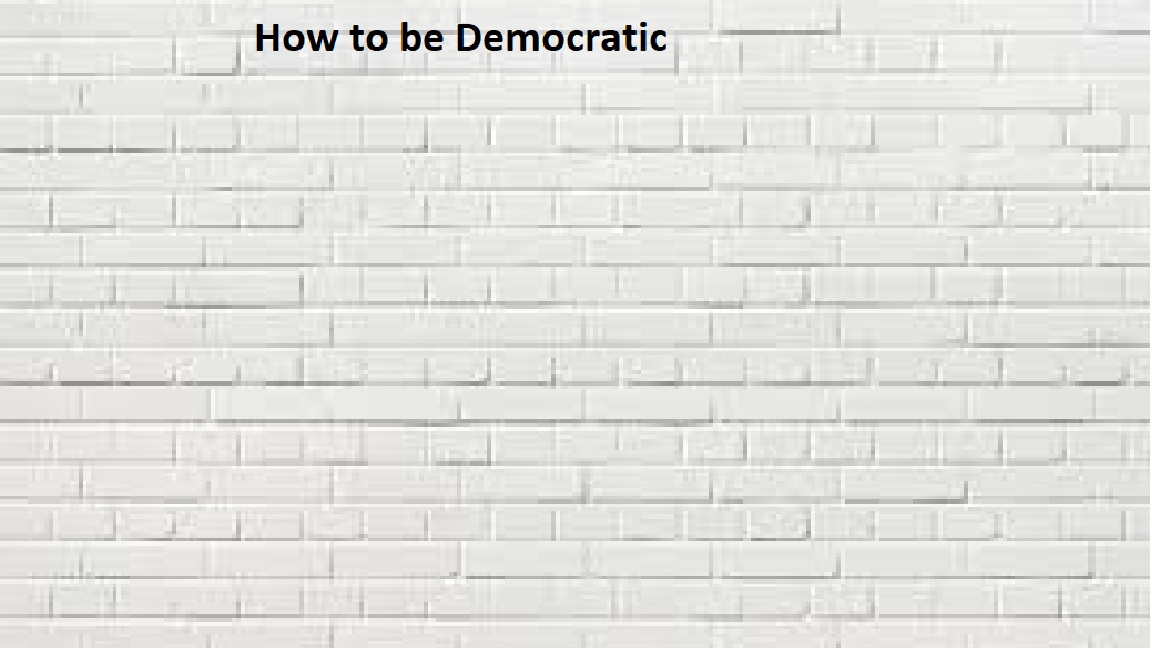 Civics and Citizenship - Learning about Democracy (Week 2)
