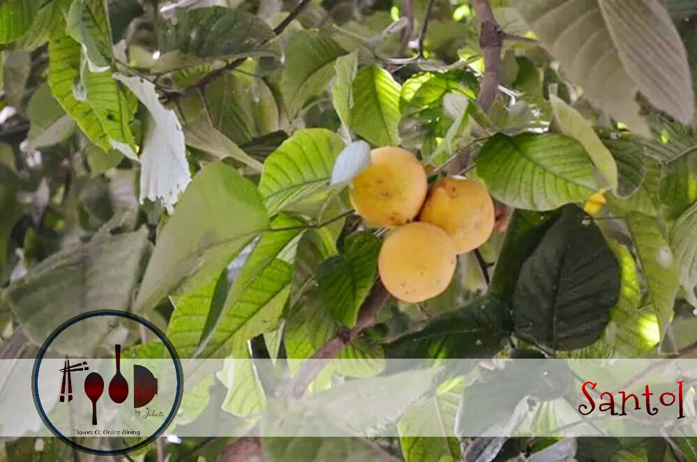 Flavors Of Online Dining: Santol