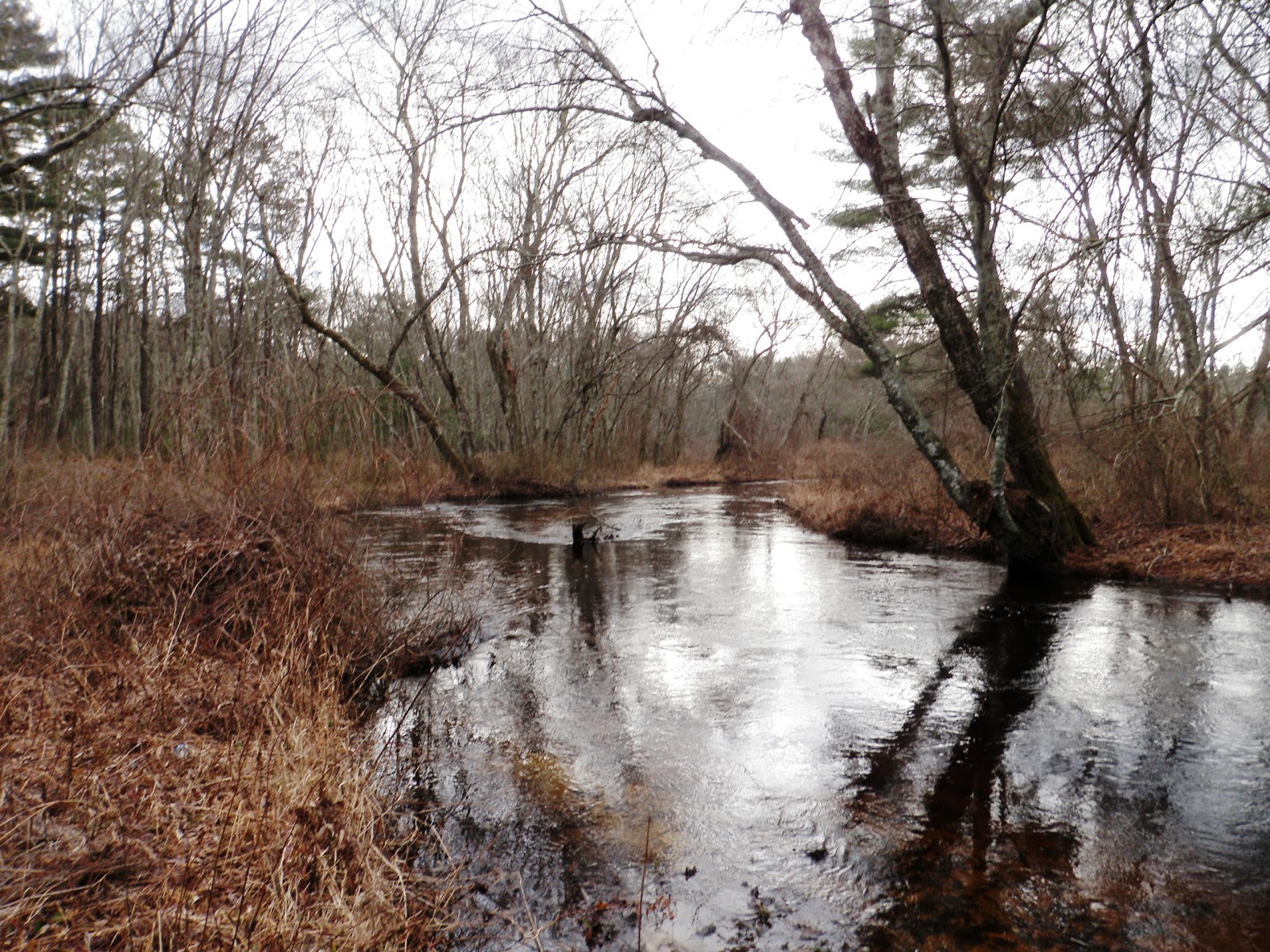 River & Riptide Anglers
