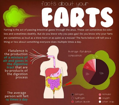 Knowledge, Fun and lots more…: Farts & Reason