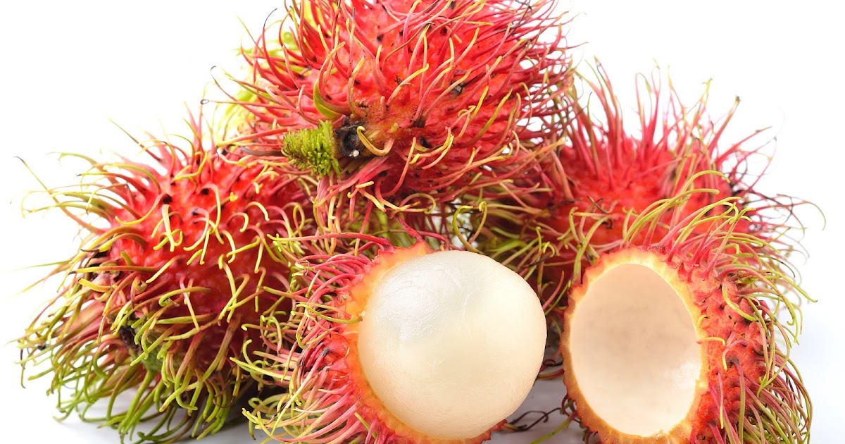 Rambutão... A Delícia do Pacífico agora no Nordeste Brasileiro ...