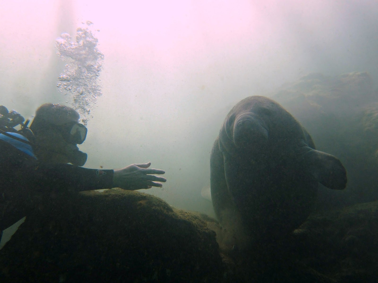 Got2Dive: Hospital Hole Dive Report