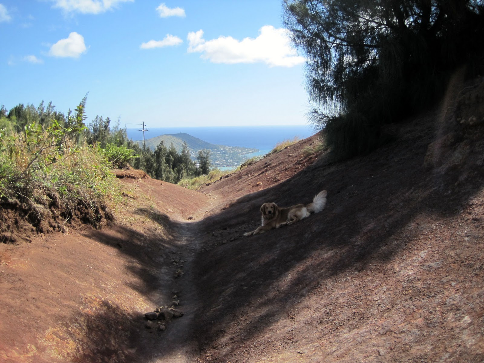 Jes' CrossFit Blog: Mariner's Ridge Hike