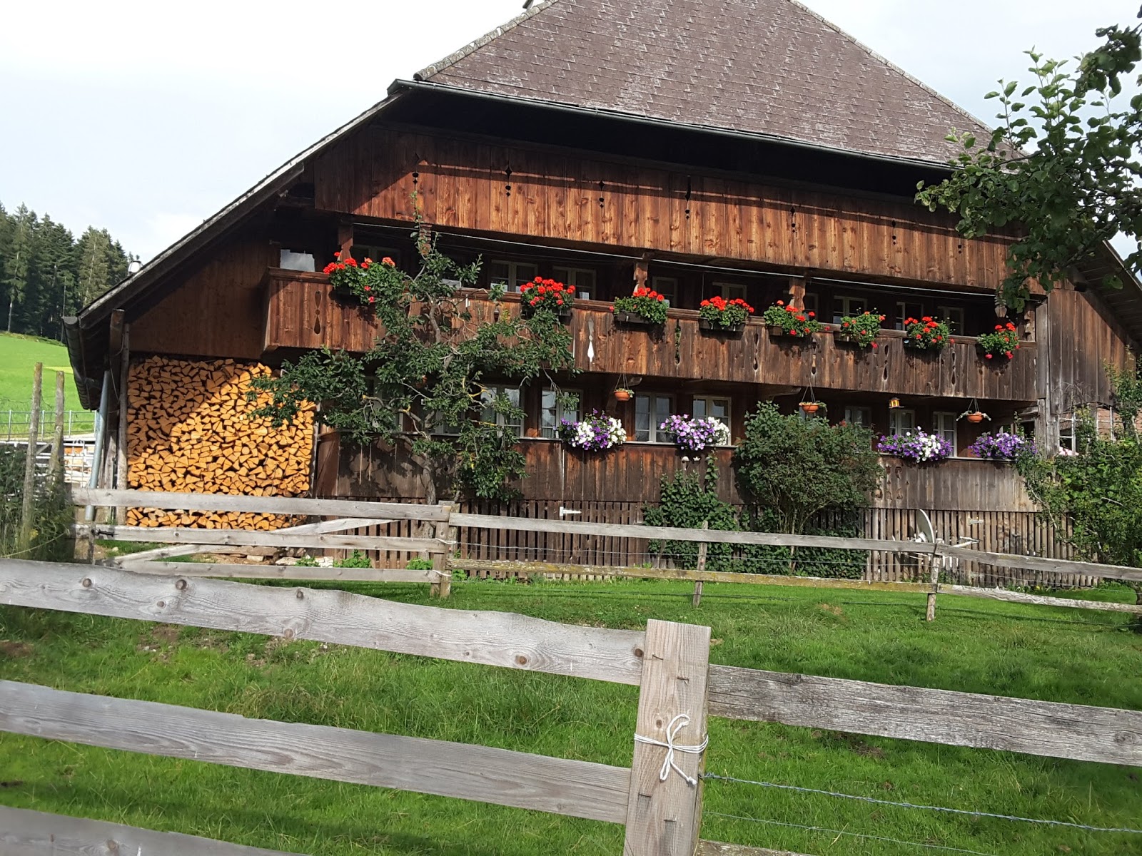 Swiss16Trip: July 22 Emmental countryside pictures
