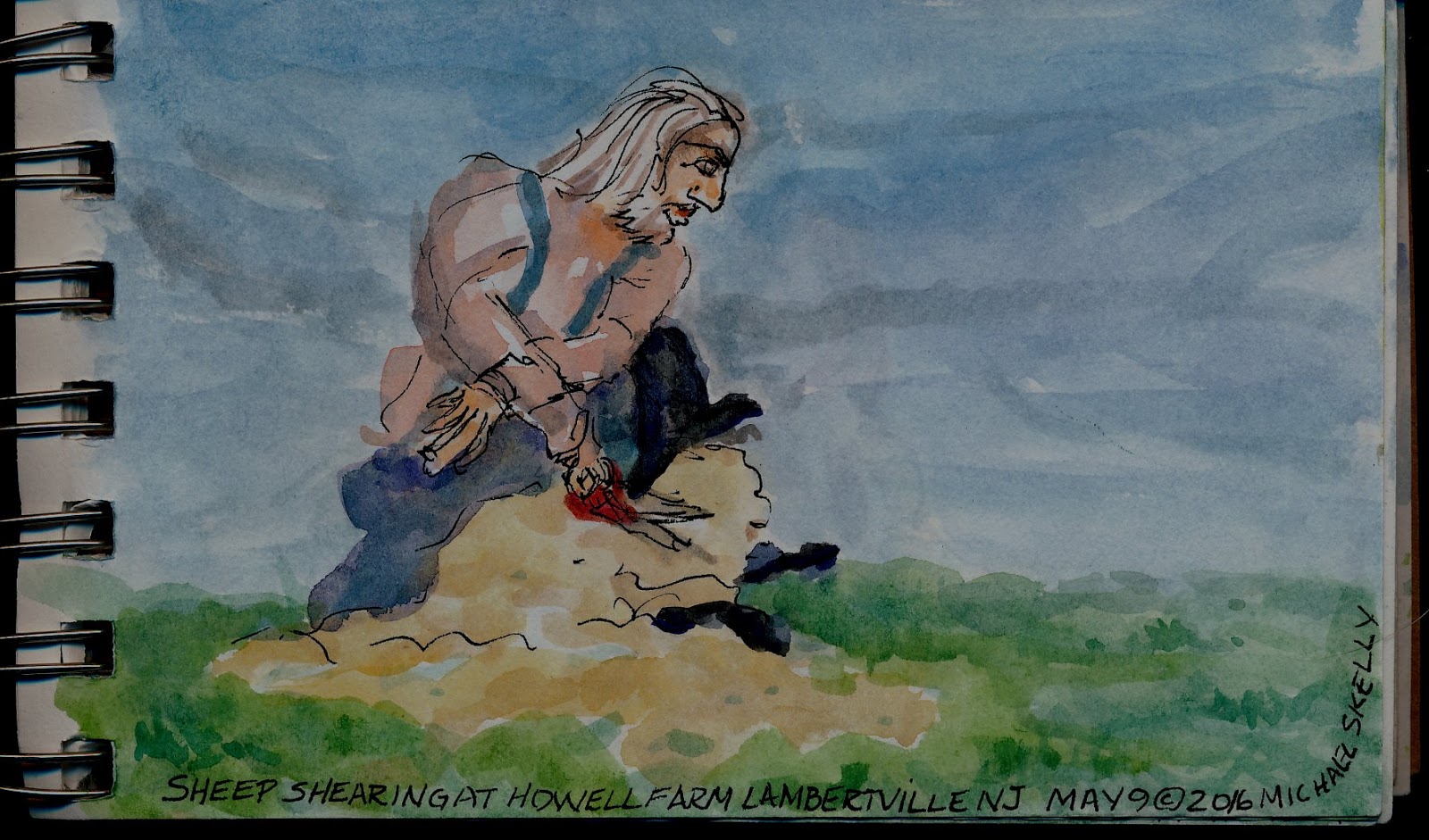 New Jersey Urban Sketchers: Action Sketches: Sheep Shearing at Howell ...