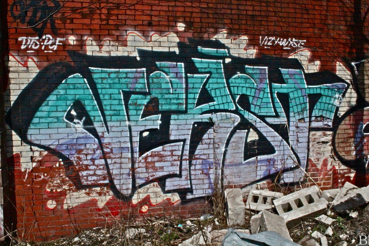 BRIAN KAVANAGH PHOTOGRAPHY: Gowanus BatCave