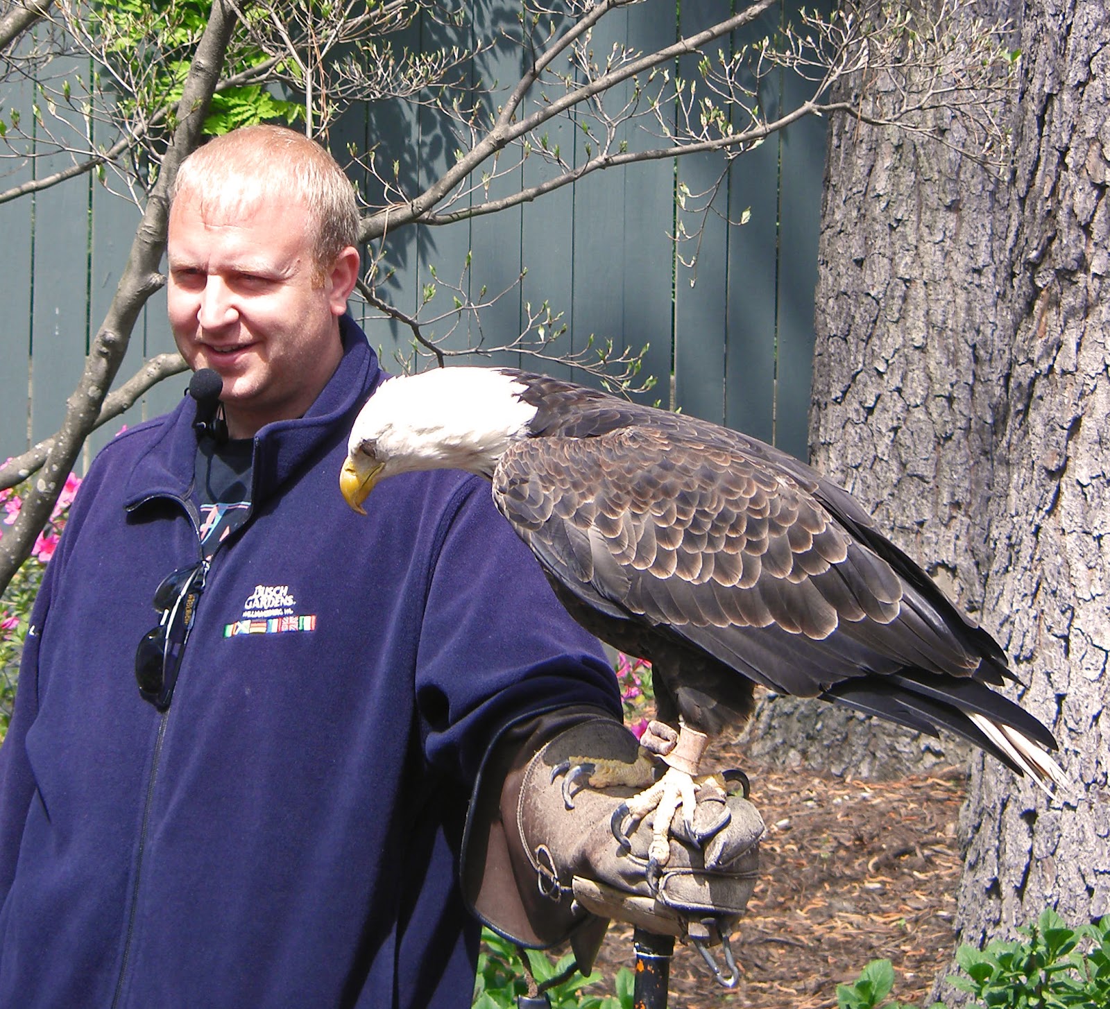 A Tidewater Gardener: A Good Friday