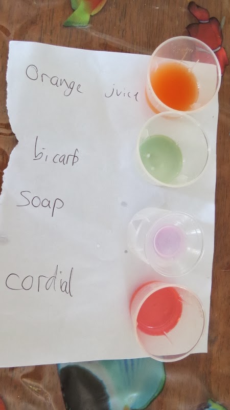 Be Our Best: Purple Cabbage pH Science Experiment