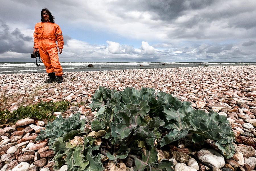 Estonia 2019 - Wyspa Hiuma