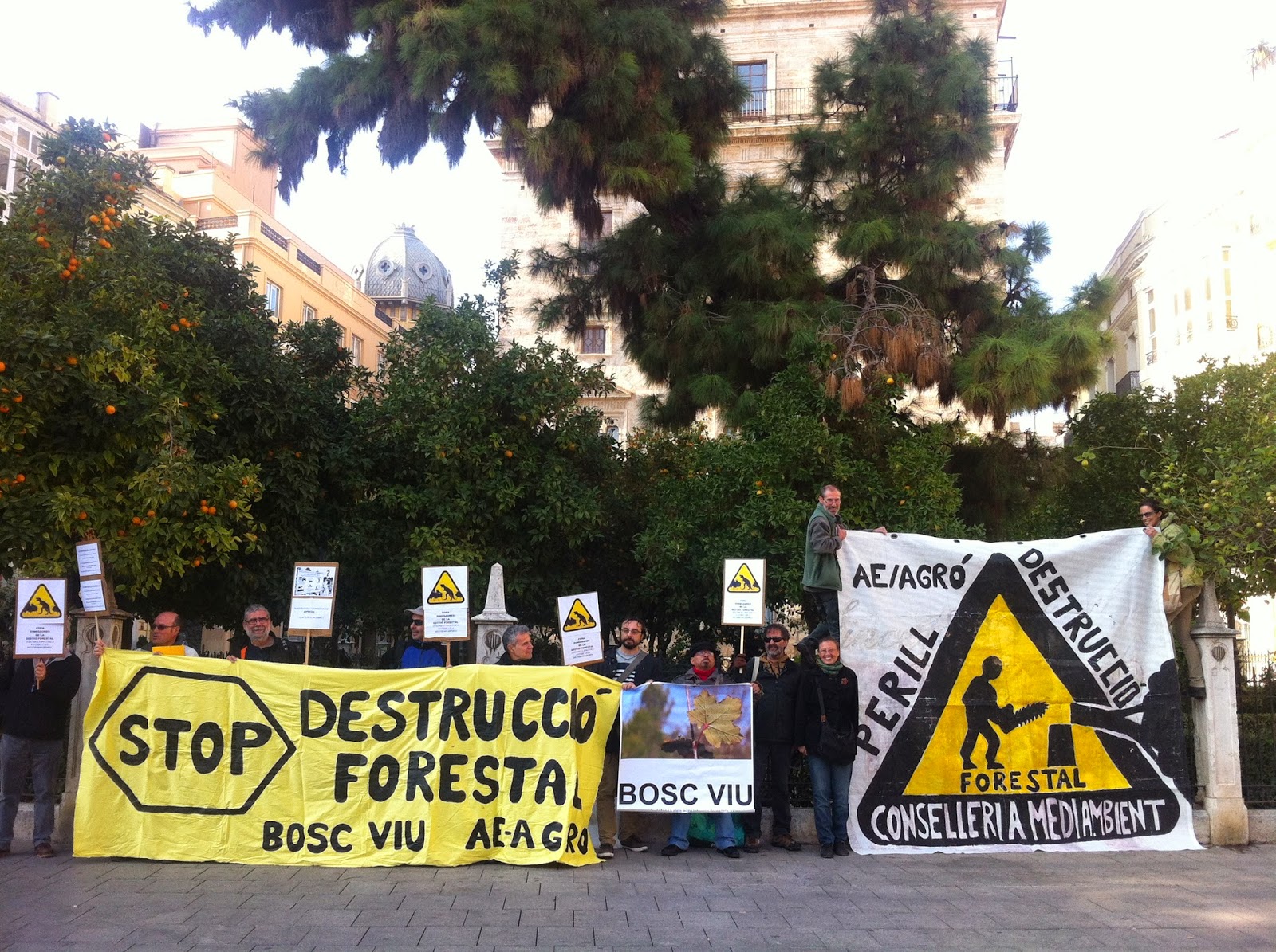 Bosc Viu: JORNADES D'ESTUDI