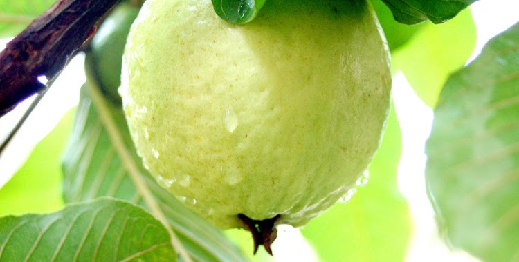 popo 3/04/2016 10:30:00 PM