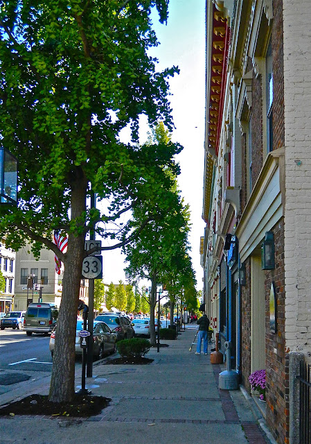 The Traveling Gardener: Blazing Autumn