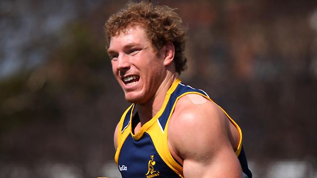 David Pocock Profile and Images | All Sports Stars