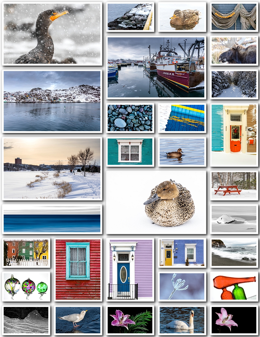 Bitstop: January Collage