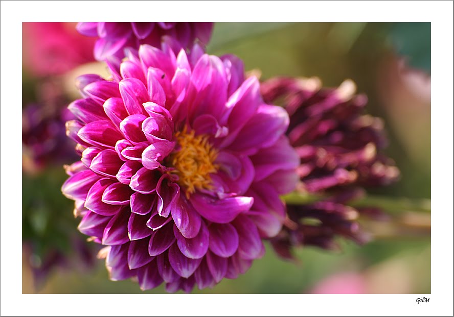 Amando no Egito,loving an egyptian II: Um Homem árabe pra chamar de seu ...