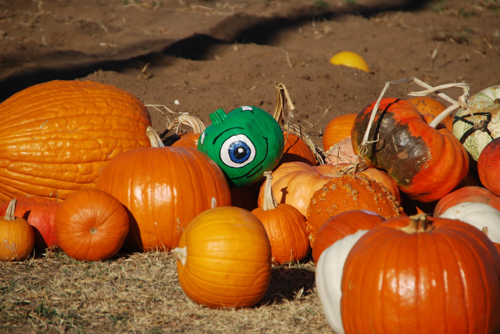 Shine Like Stars: November 2012