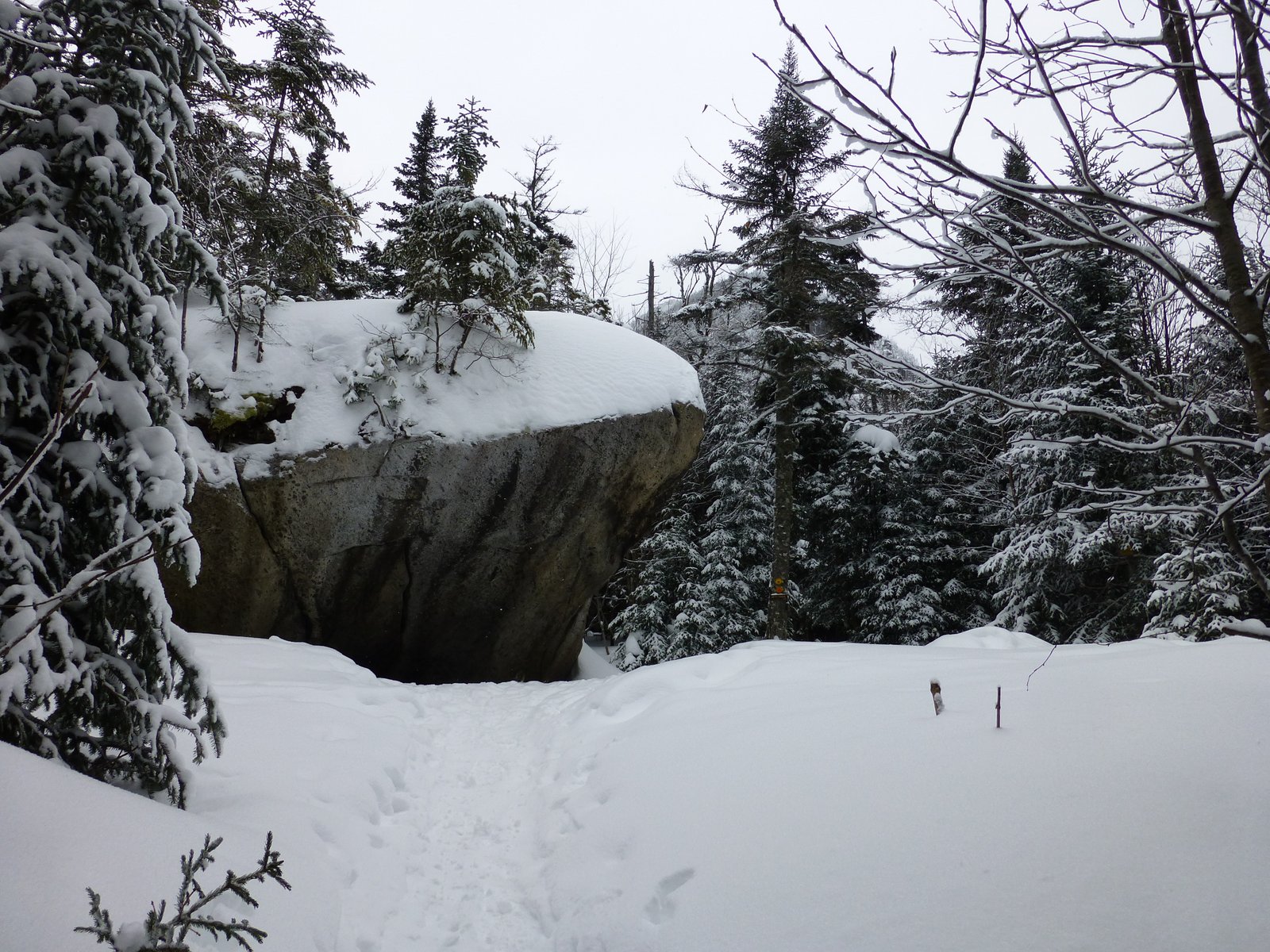 Off on Adventure: Haystack & Basin Mountains - 2/25/13