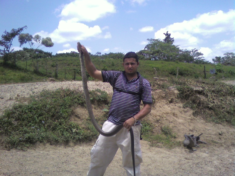 Lo Natural es Mejor y "cuando se pesca sabe bien"