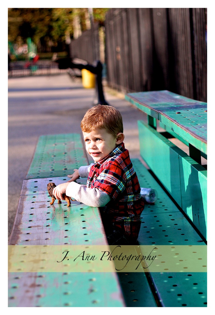 J. Ann Photography: Ryan Christmas Card Shoot: Pelham Bay Park