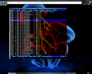 Blackbox window manager veloce e particolarmente leggero per il sistema ...