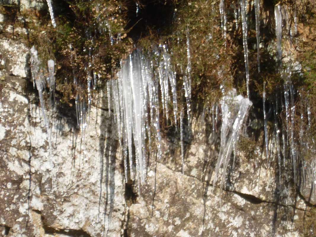 Soggibottom: Girl Rona in Teignmouth and Dartmoor -3 deg c.