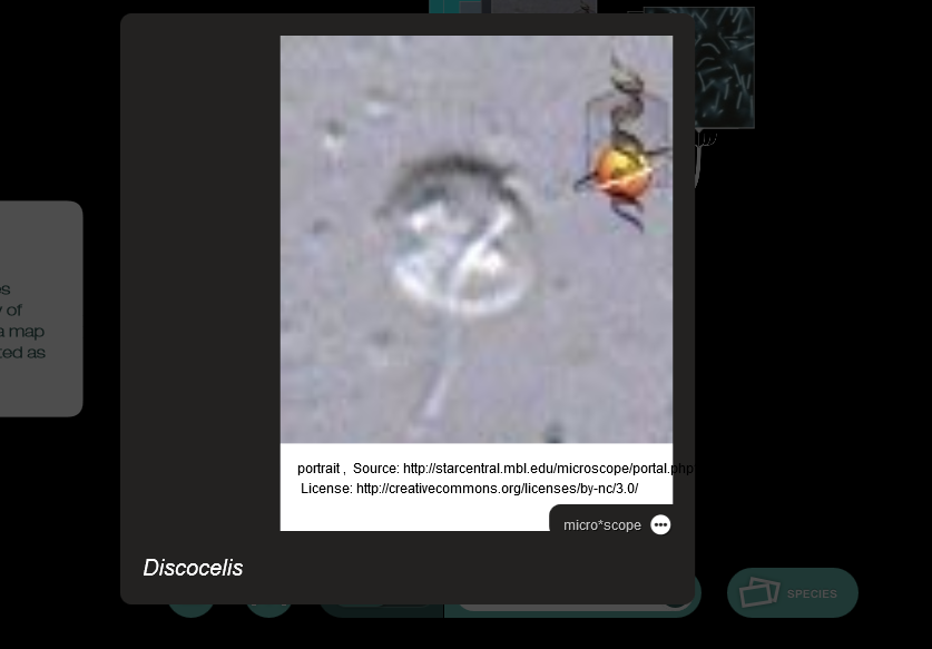 Phyloinformatics: Evolution game, NOVA Labs