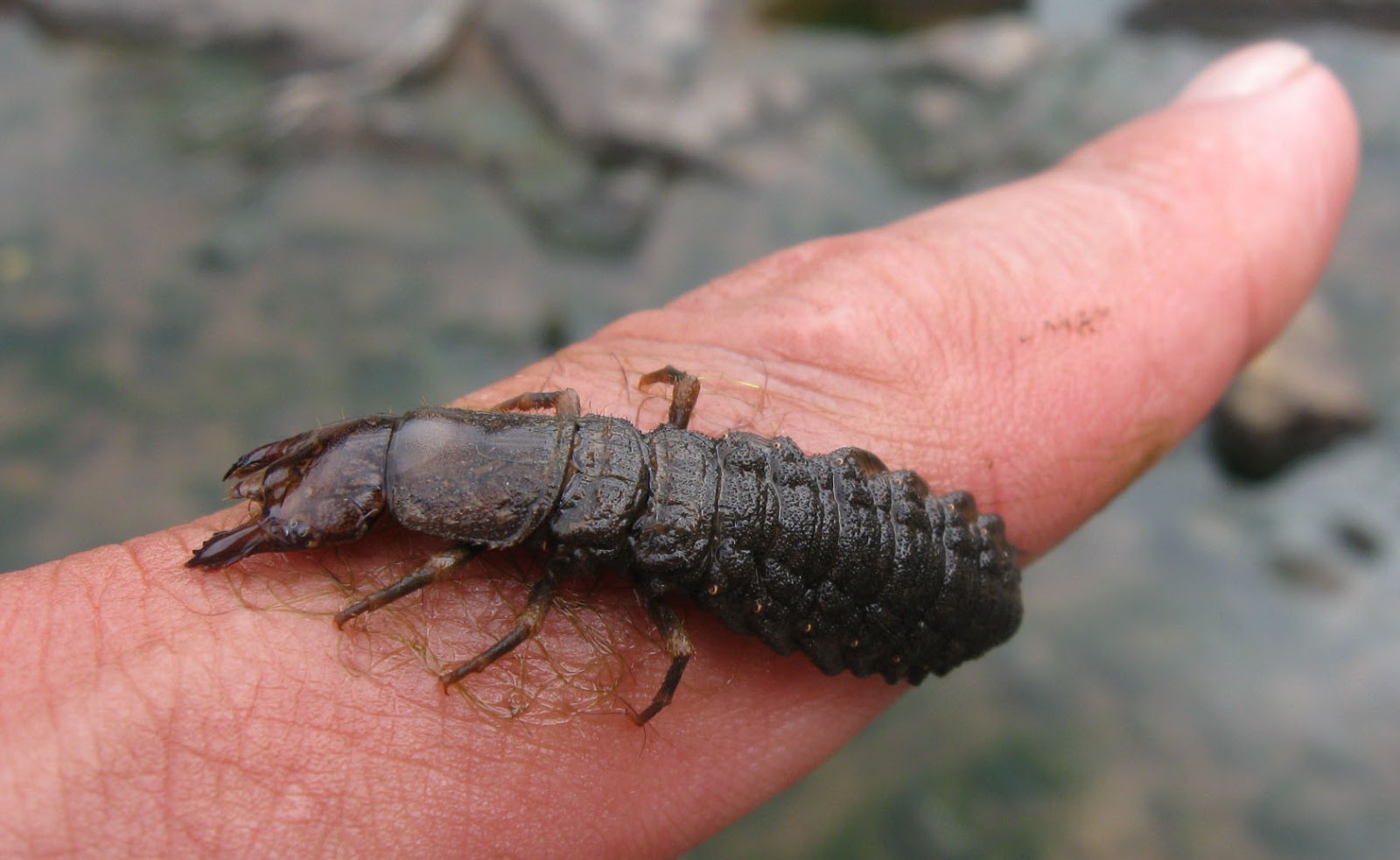 Shanty Boat: A Collection of Photos from a Non-Shantyboat River Float