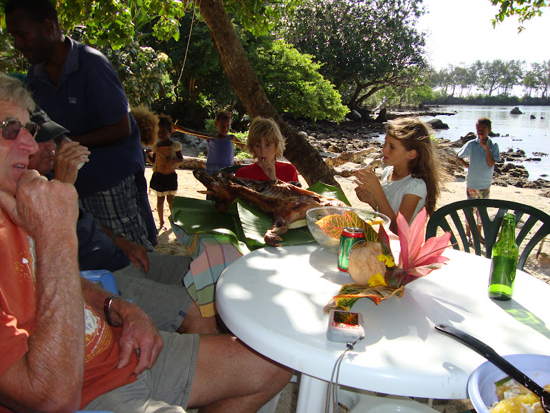 Lardo's Dream: Pictures of Maewo Island, Vanuatu