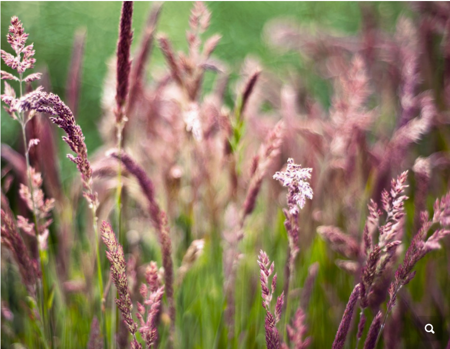 Photography Unit1: Lucy Shires