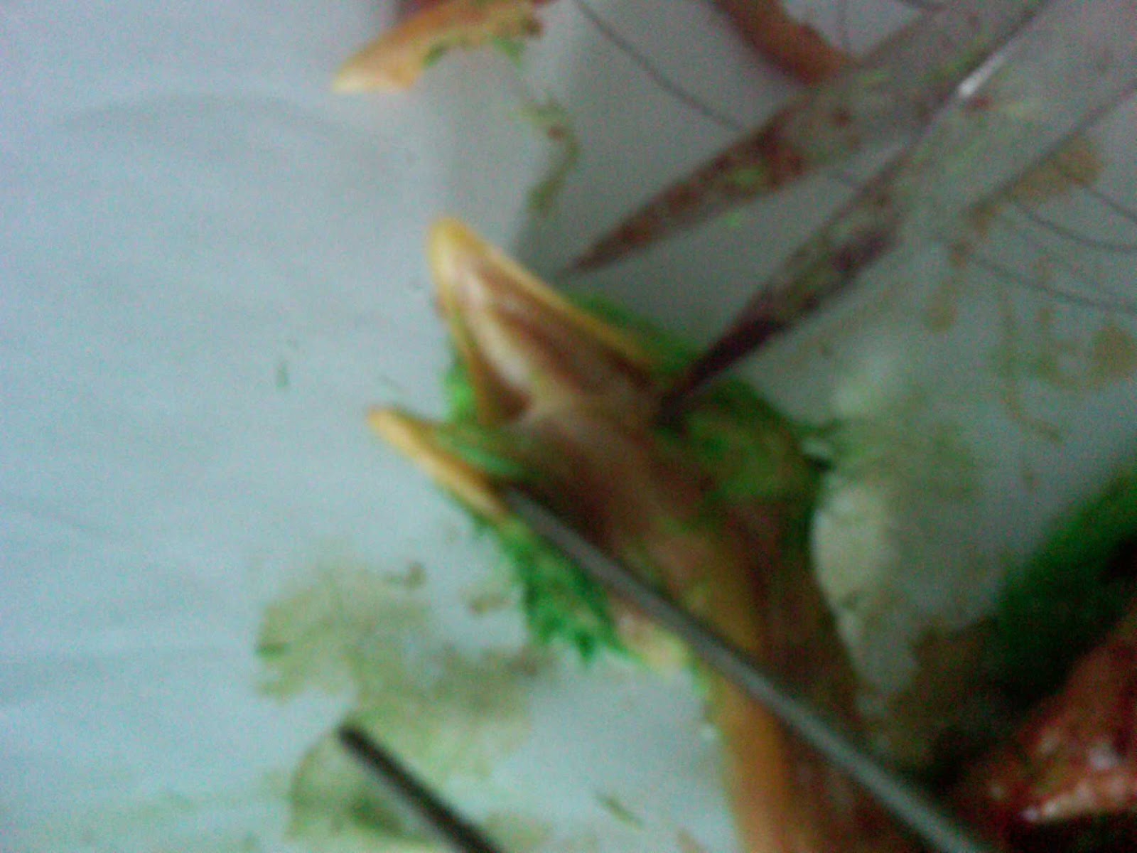 Blog ku: sistem pencernaan ayam broiler