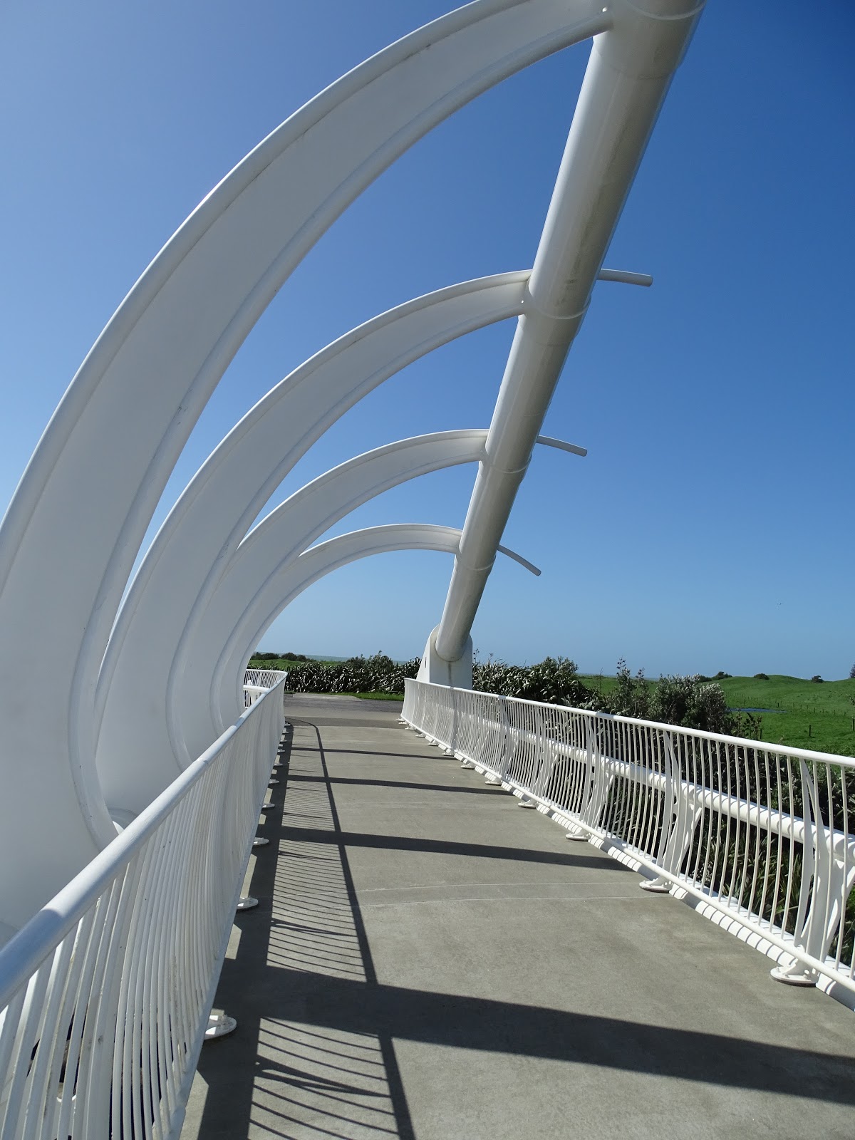 over the hill: Te Rewa Rewa Bridge