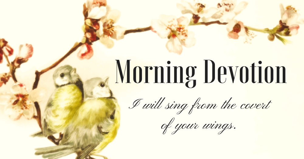 A Walk In The Garden: Morning Devotion & Prayer