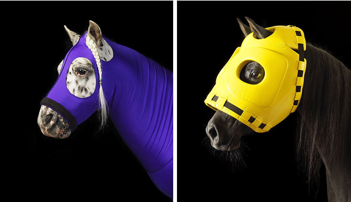 Tim Flach: Equus or the Beauty of the Horse