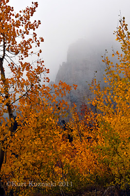 Southern Nevada Outside: Fall colors at Mt Charleston