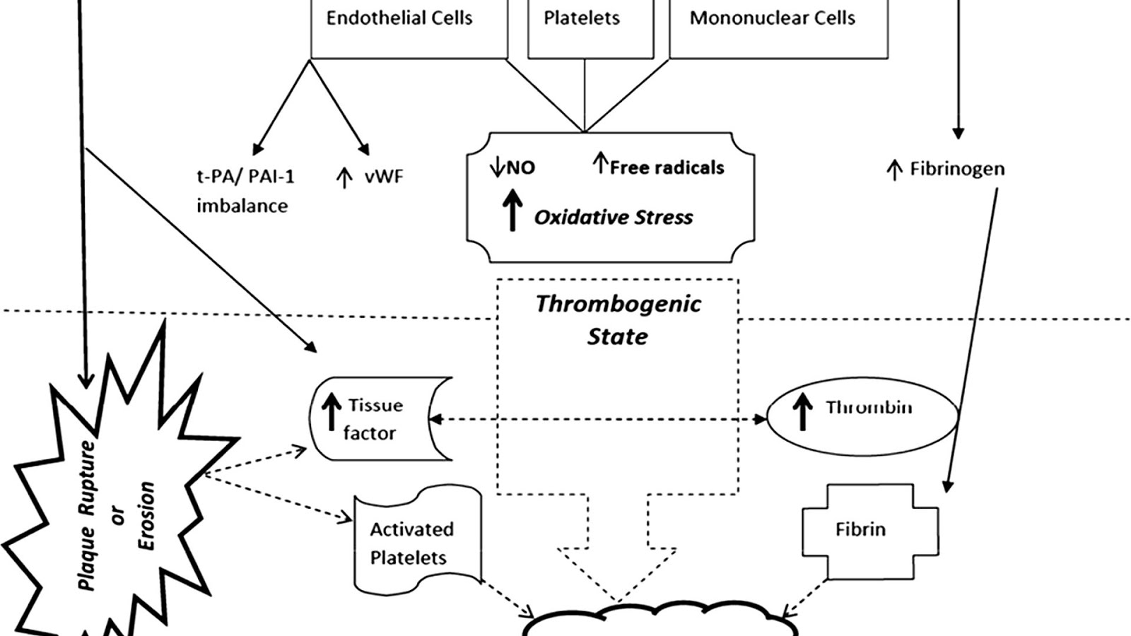 Tobacco packaging warning messages Photo - Photo Choices