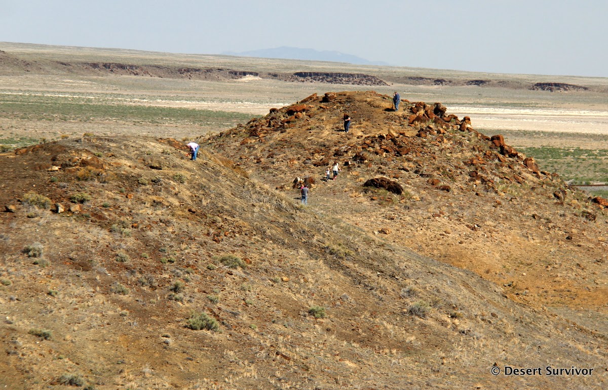 Desert Survivor: Sunstone Knoll and Clear Lake, near Delta, Utah