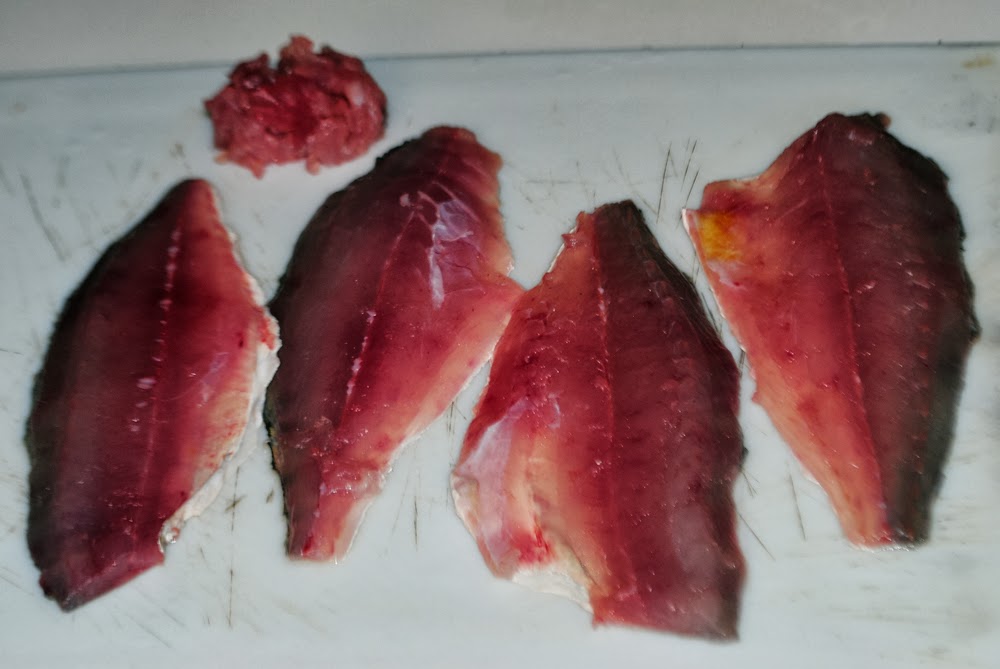 Sud Italia in Cucina: Tubettini alla Marinara di Ricciole