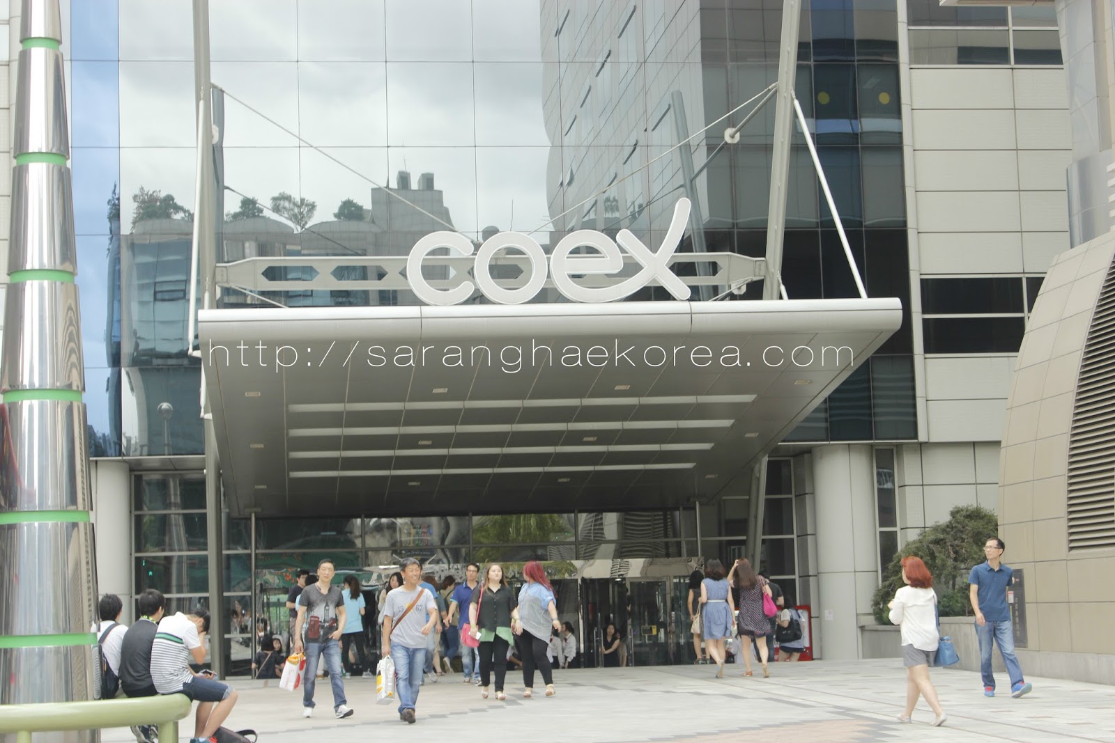 Journey to the Depths of the Ocean at COEX Aquarium