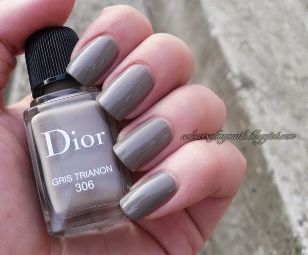 Dior Gris Trianon - Random by B