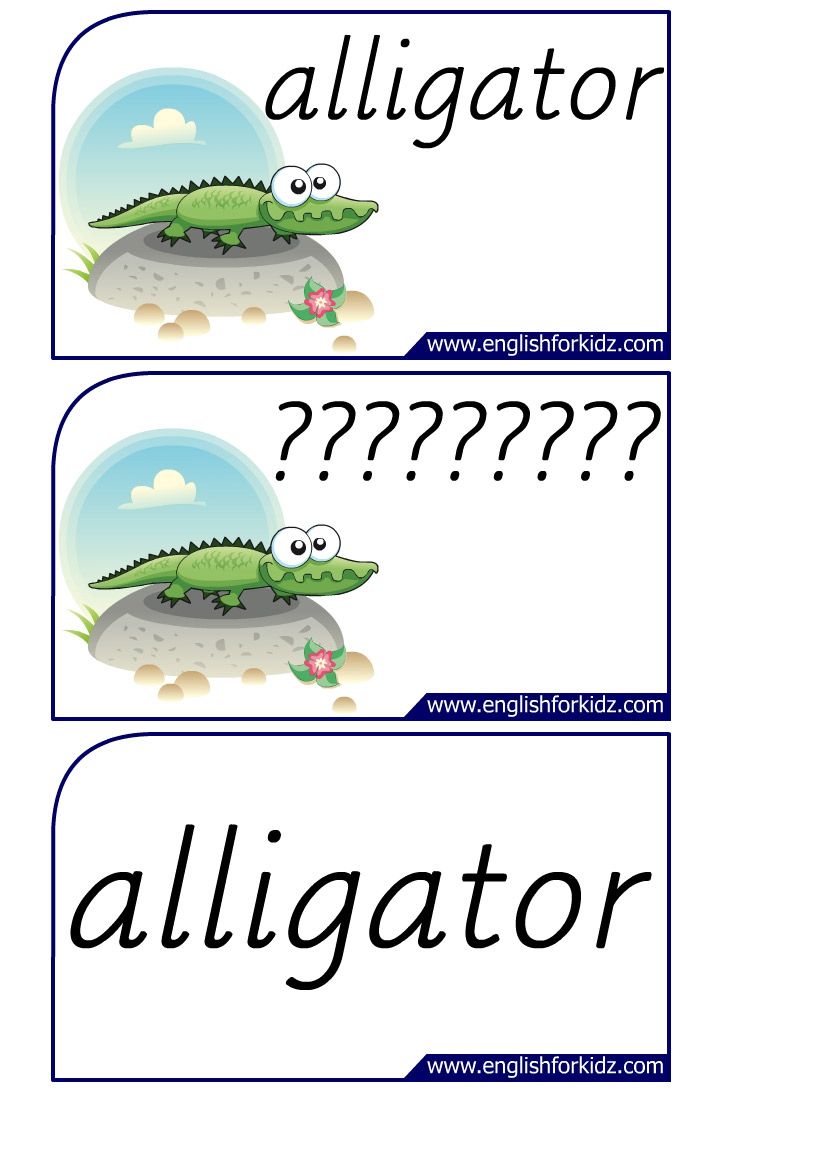 Wild Animals Flashcards