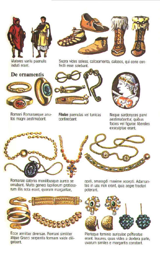 latinus grossus: De vita romana