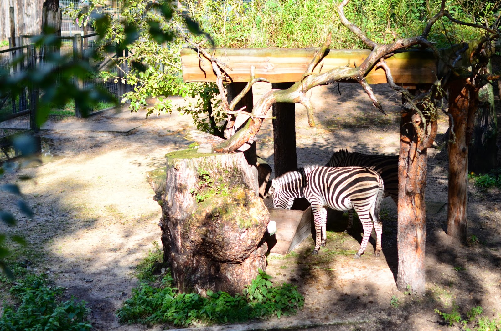 ImPossible is nothing: Rigas Zoodarzs / Riga Zoo