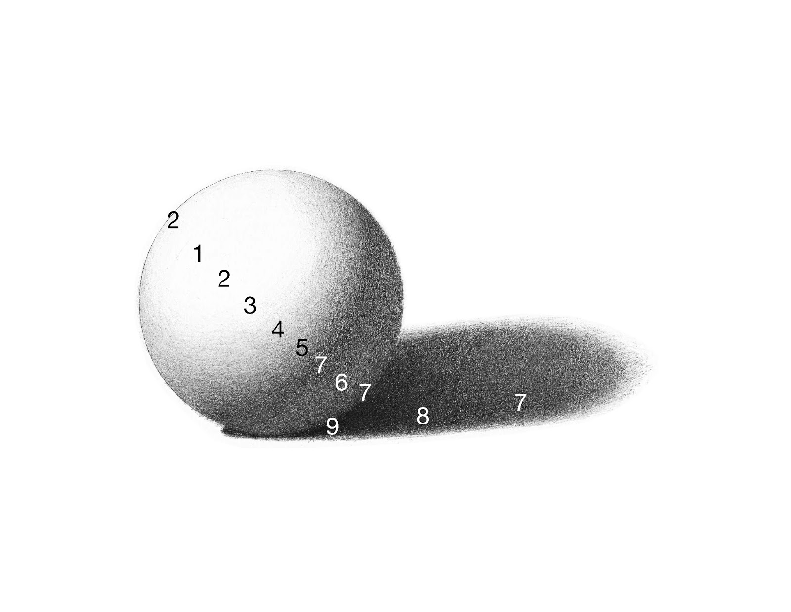 geo sitll-life on Pinterest | Still Life, Still Life Images and ...