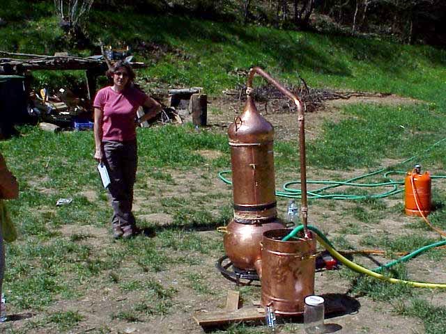 EL CAJON DE LOS CONOCIMIENTOS: ALAMBIQUE