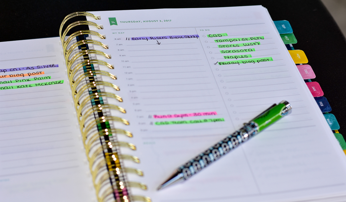 How I Organize My Simplified Planner + My Review - Girl Meets Bow