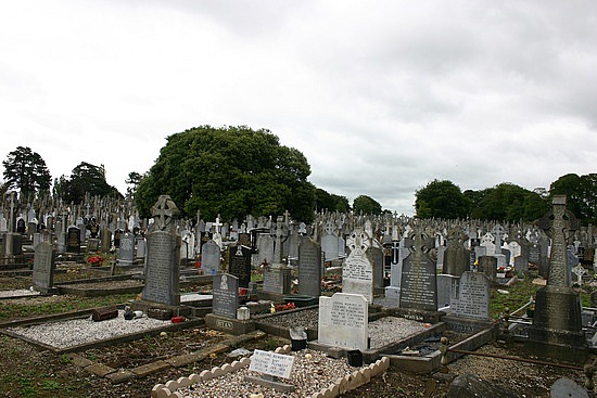 AS THEY WERE: MOUNT SAINT LAWRENCE CEMETERY LIMERICK