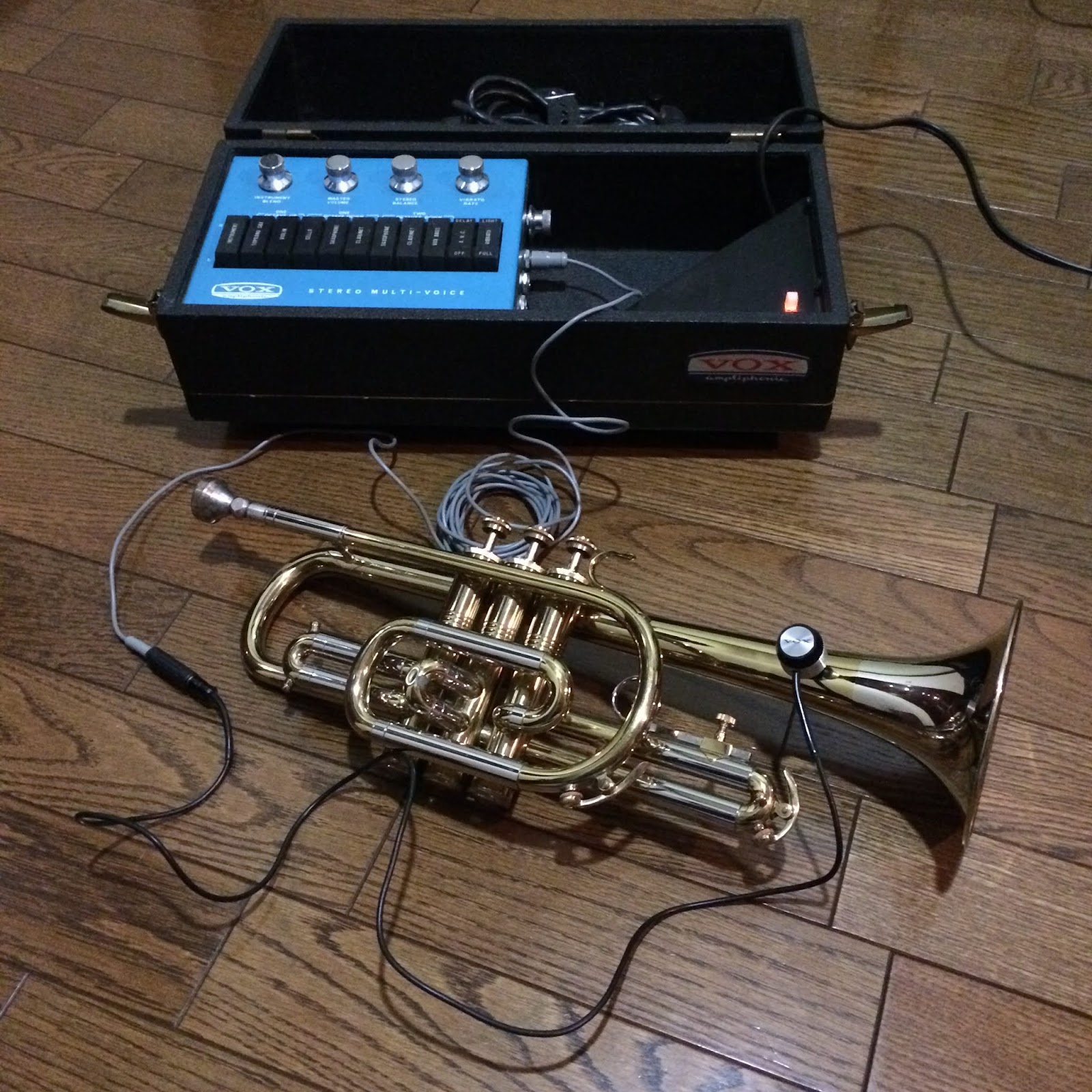 brass amplifier: コルネットは '電気ウナギ' で感電する