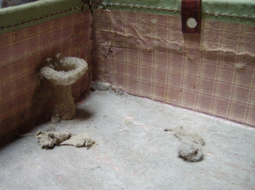 Simply Creative: The Dust Art by Paul Hazelton